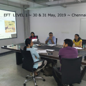 CERTIFIED COMBINED EFT LEVEL 1 & 2 TRAINING – Emofreetherapy